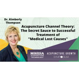 Acupuncture Channel Theory: The Secret Sauce to Successful Treatment of ...