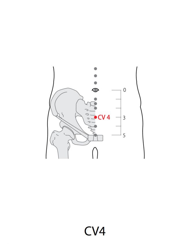 Acupuncture Point: Conception Vessel 4 - Acupuncture Technology News