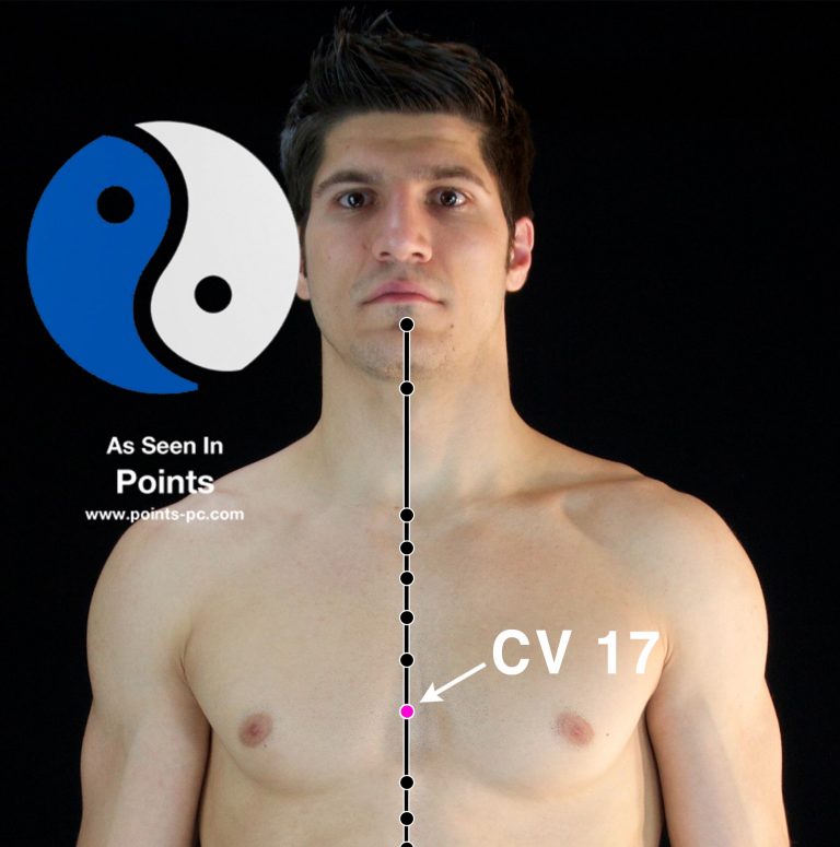 Acupuncture Point: Conception Vessel 17 (CV 17) - Acupuncture ...