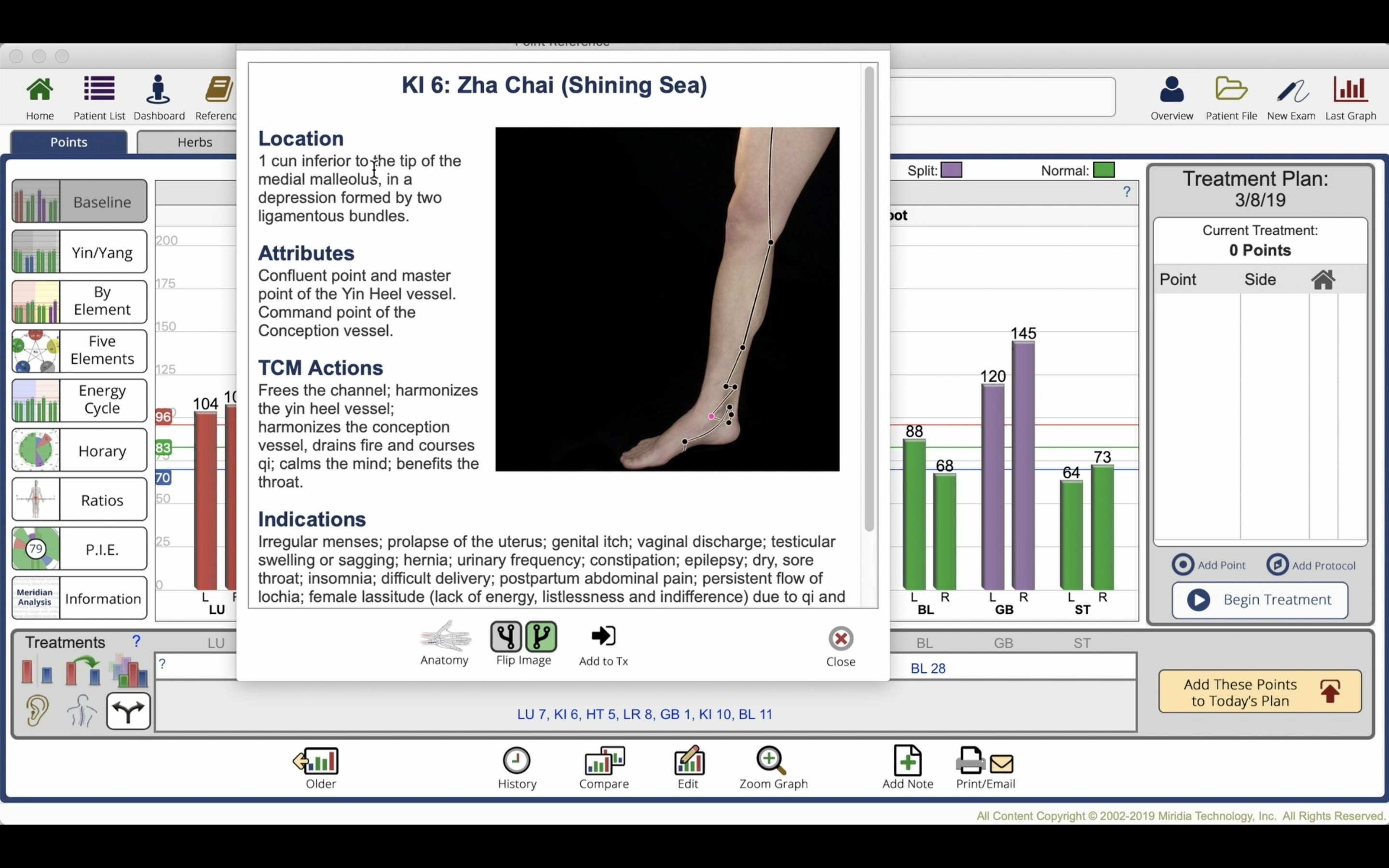 Anatomical Reference Images - New Acugraph Feature - Acupuncture ...