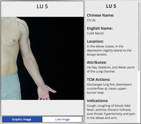 Points PC - Acupuncture Reference Software on your Computer