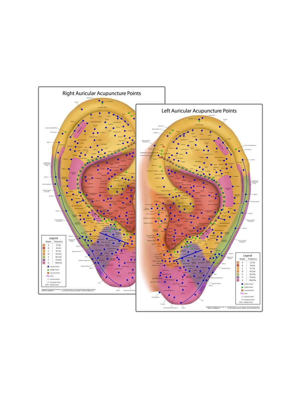 Ultimate Auriculotherapy Reference Card